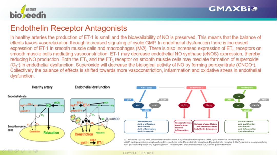 越过肿瘤与“自免”的红海，GPCR抗体立新功