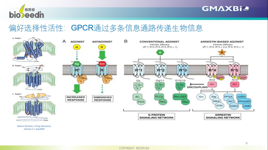 越过肿瘤与“自免”的红海，GPCR抗体立新功